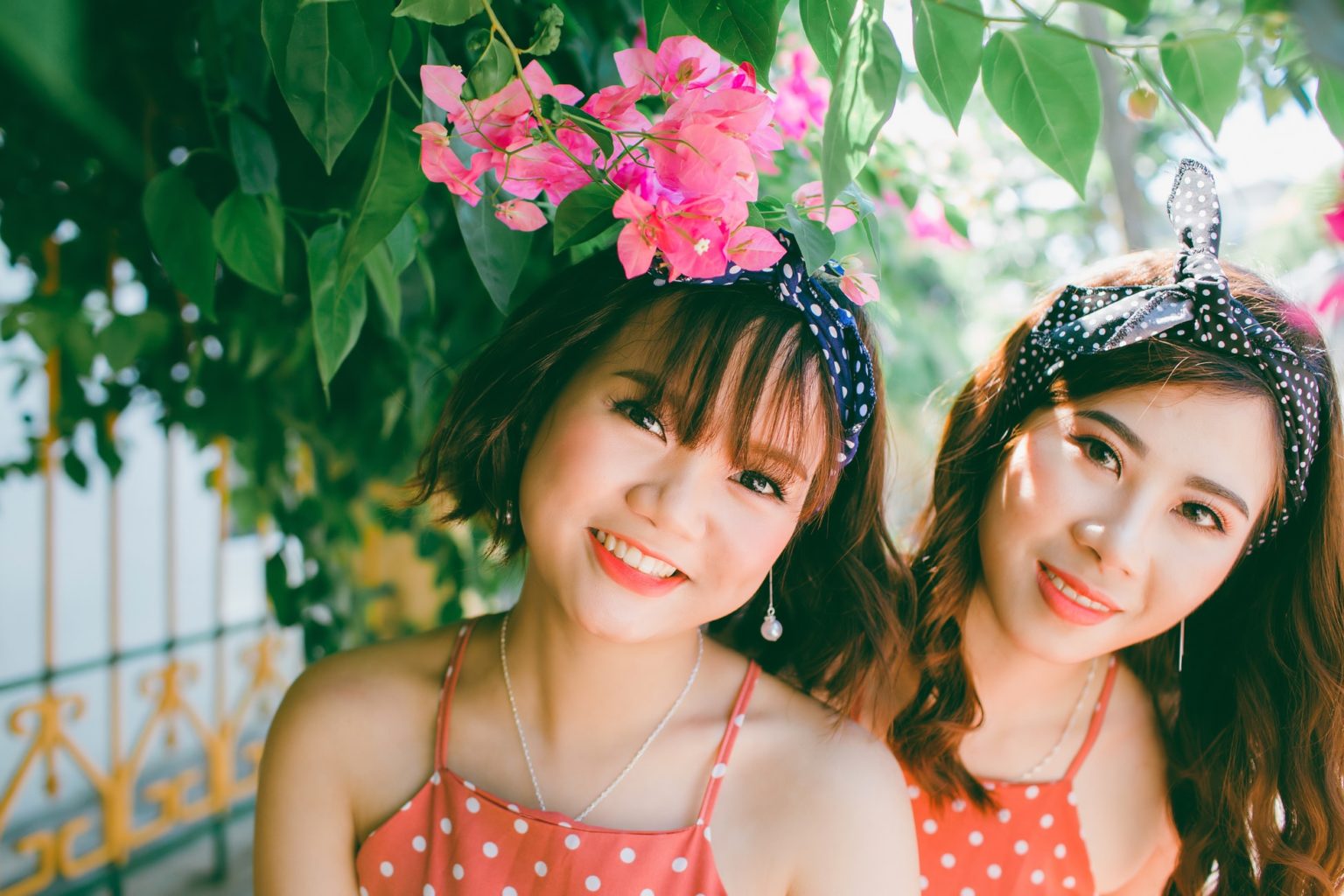 低用量ピル(OC・LEP)を身近に感じよう | ゆきぞらブログ